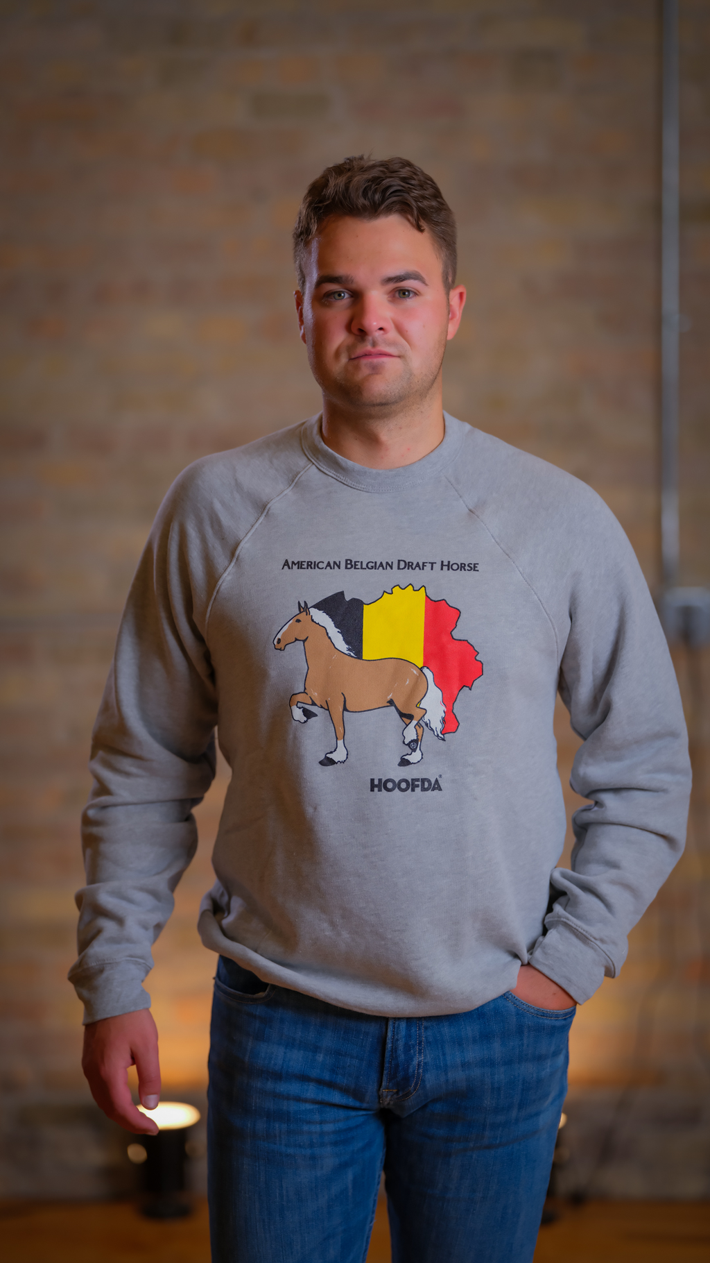 American Belgian Draft Horse Apparel – HOOFDA® Heritage Collection